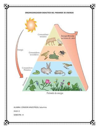 Pirámides de energía | DOCX