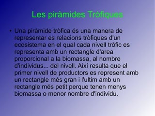Piràmides tròfiques | ODP