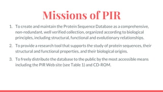 PIR & MINT | PPTX