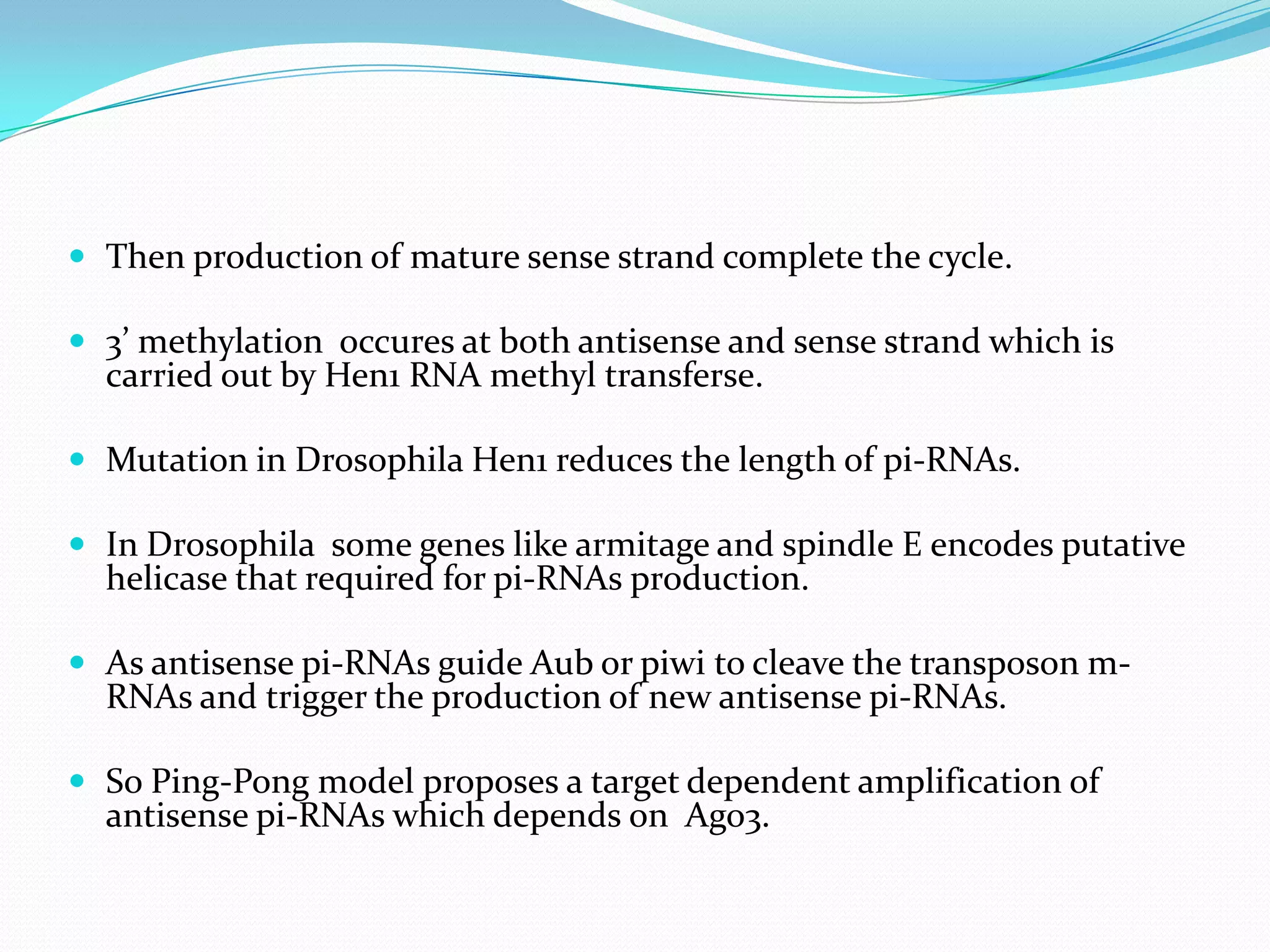 Pi rna-ppt, sasmita behura | PPTX