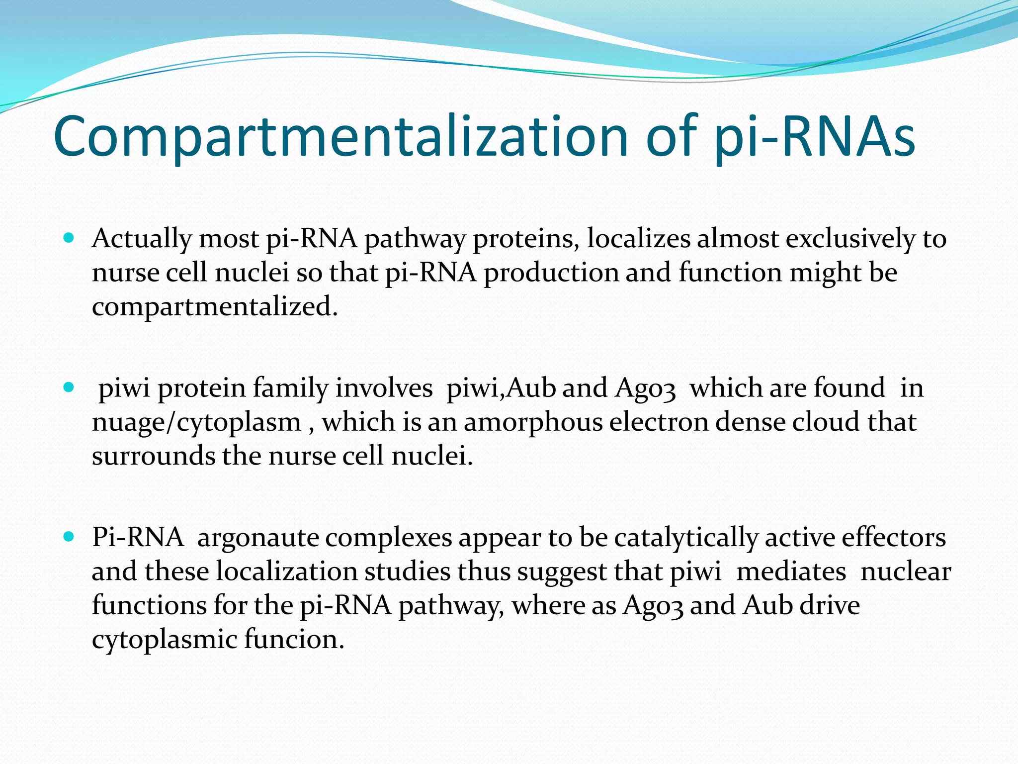 Pi rna-ppt, sasmita behura | PPTX