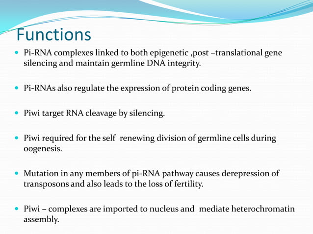 Pi rna-ppt, sasmita behura | PPT