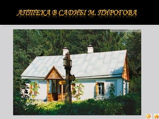 пирогов Pirogov | PPT