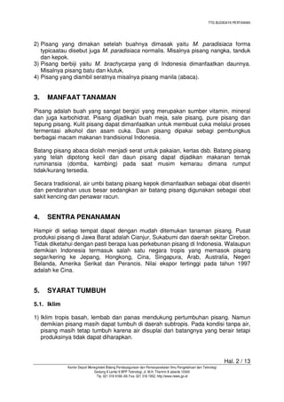 Pisang | PDF