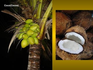 Frutas Brasileiras - brazilian fruits | PPS