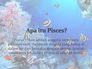 Biologi Animalia SMA Kelas 10 Pisces | PPTX
