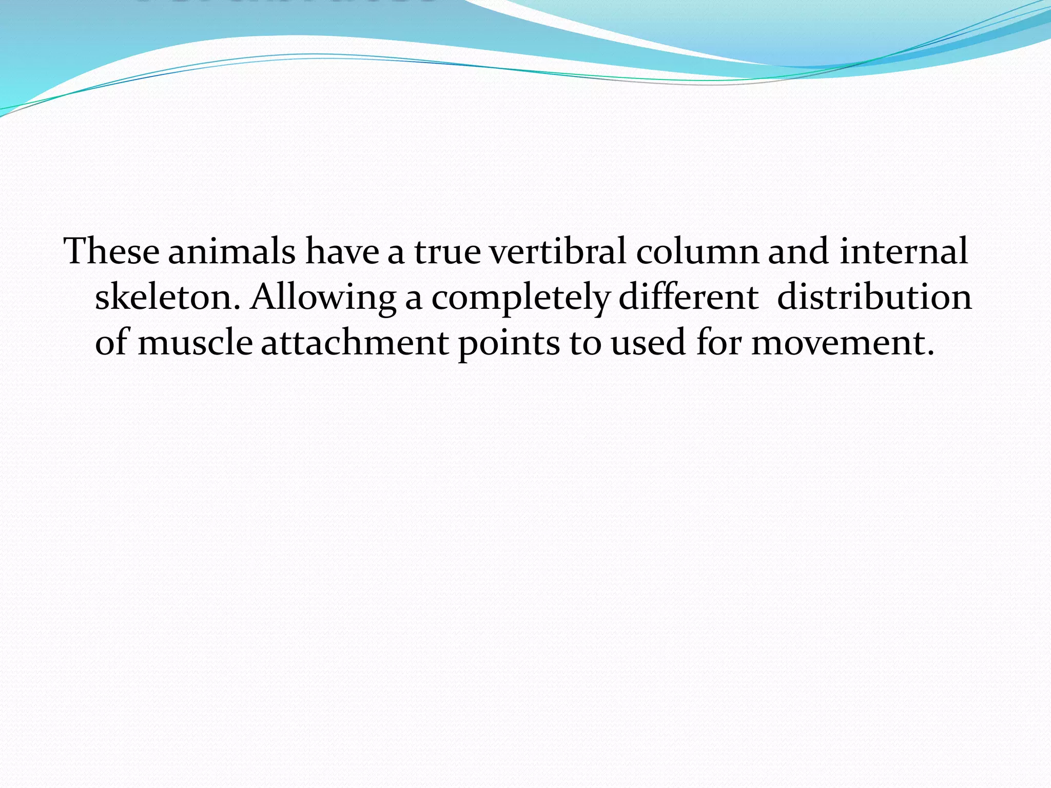 Pisces | PPTX | Birds | Pets