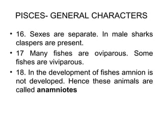 Pisces general characters and classification - copy | PPT