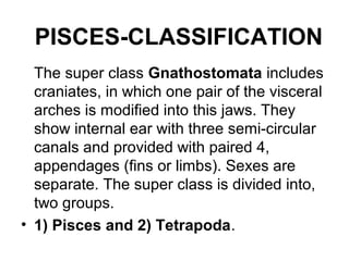 Pisces general characters and classification - copy | PPT