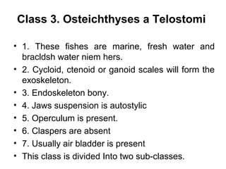 Pisces general characters and classification - copy | PPT