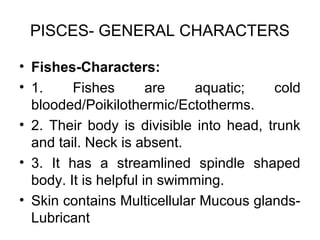 Pisces general characters and classification - copy | PPT