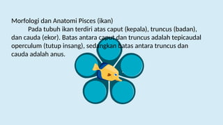 PPT Klasifikasi Hewan Pisces & Amfibi.pptx