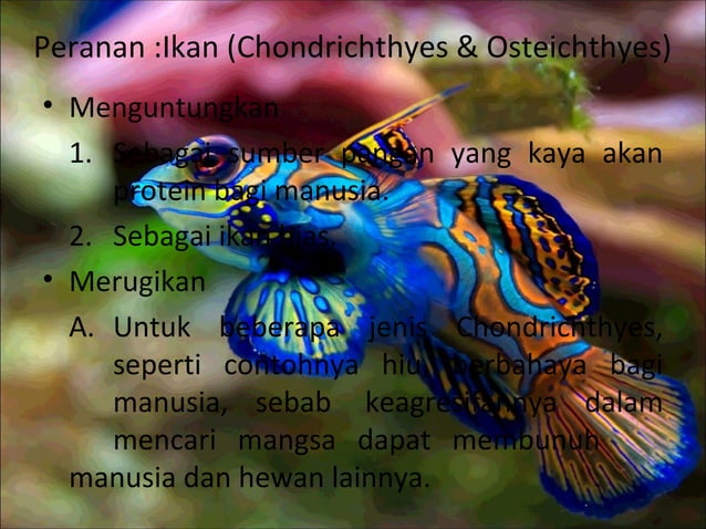 Pisces & Amphibian Presentation | PPT