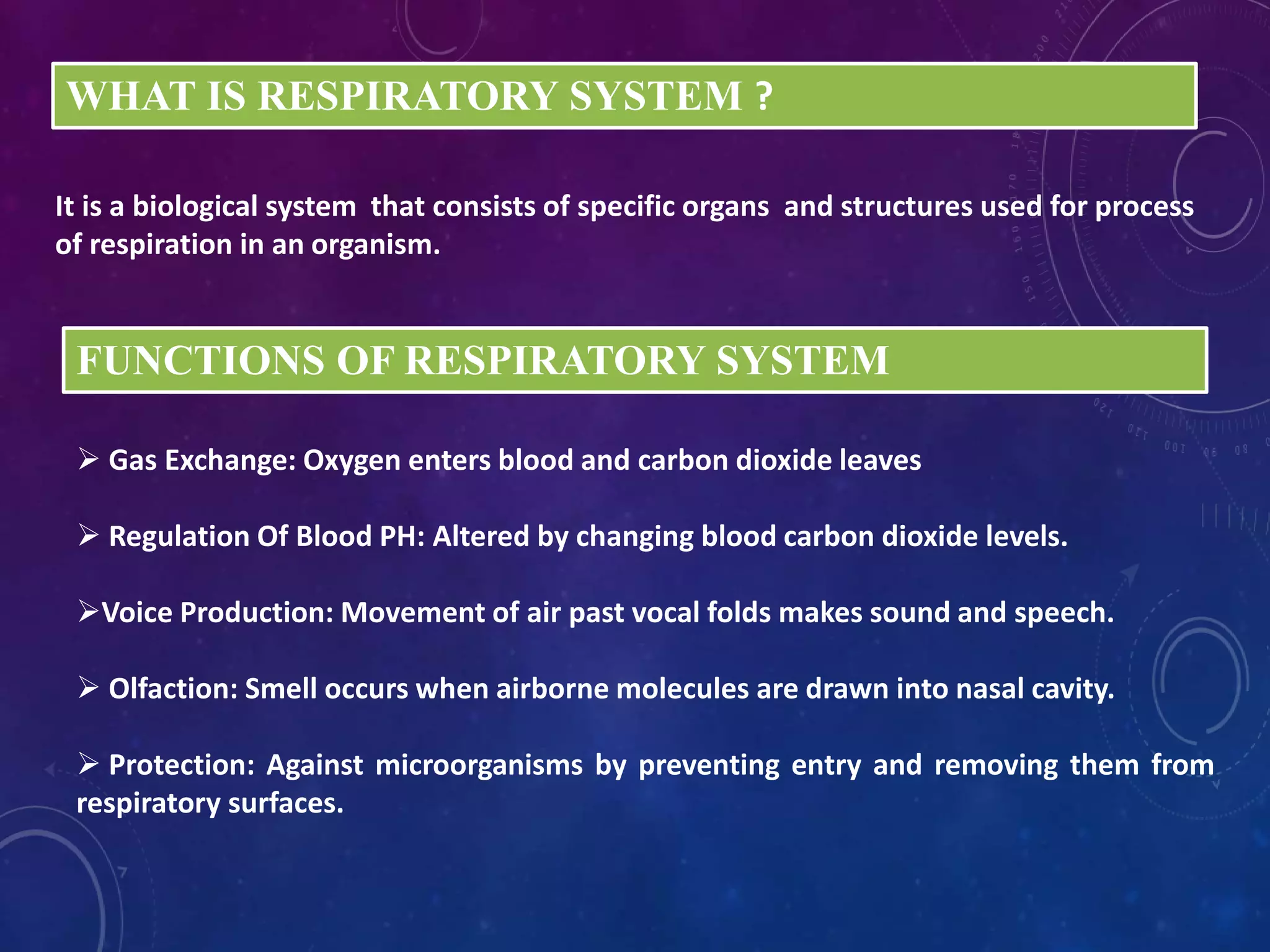 Presentation on Organ & Mechanism of Respiration in Pisces And ...