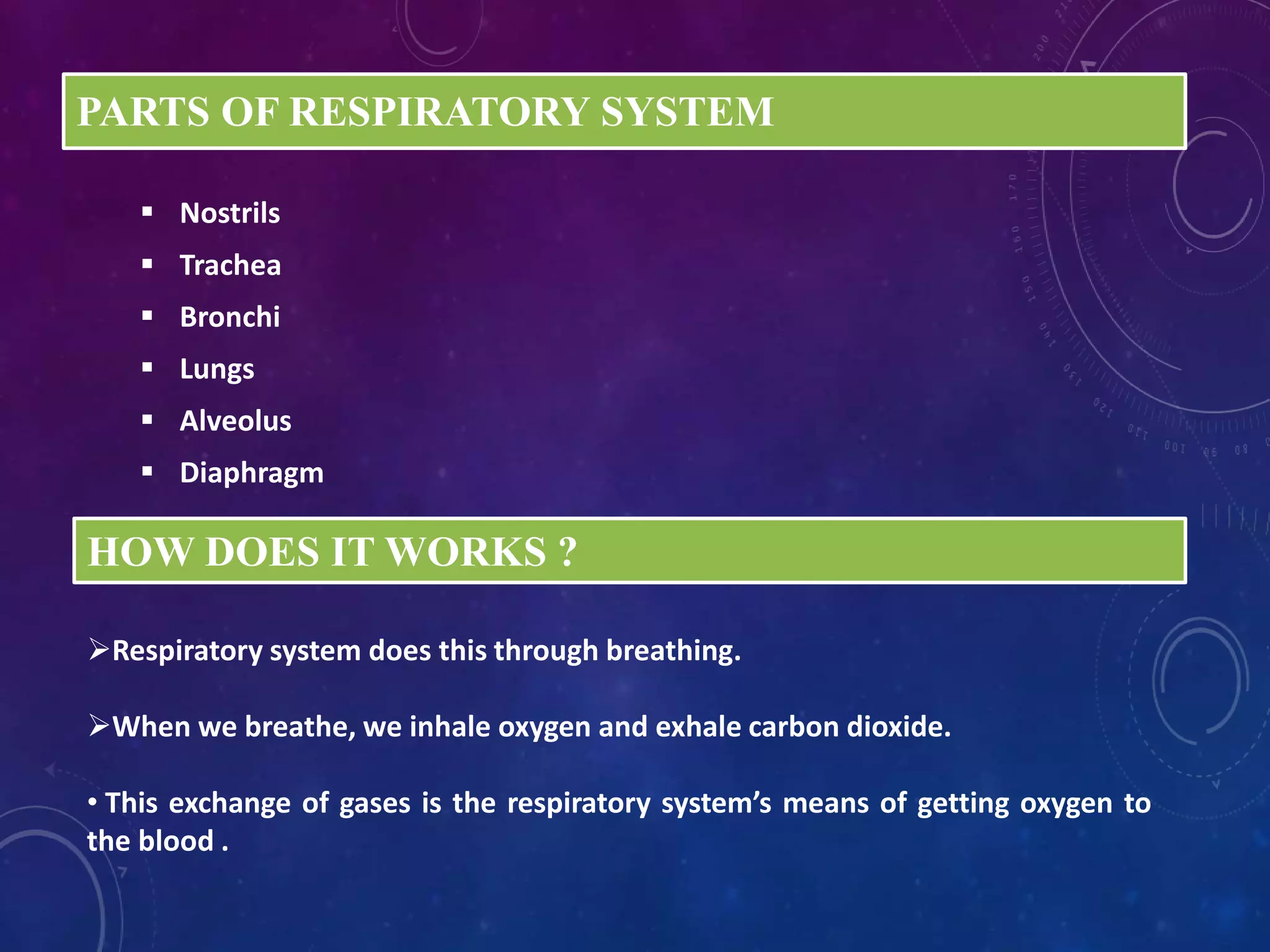 Presentation on Organ & Mechanism of Respiration in Pisces And ...