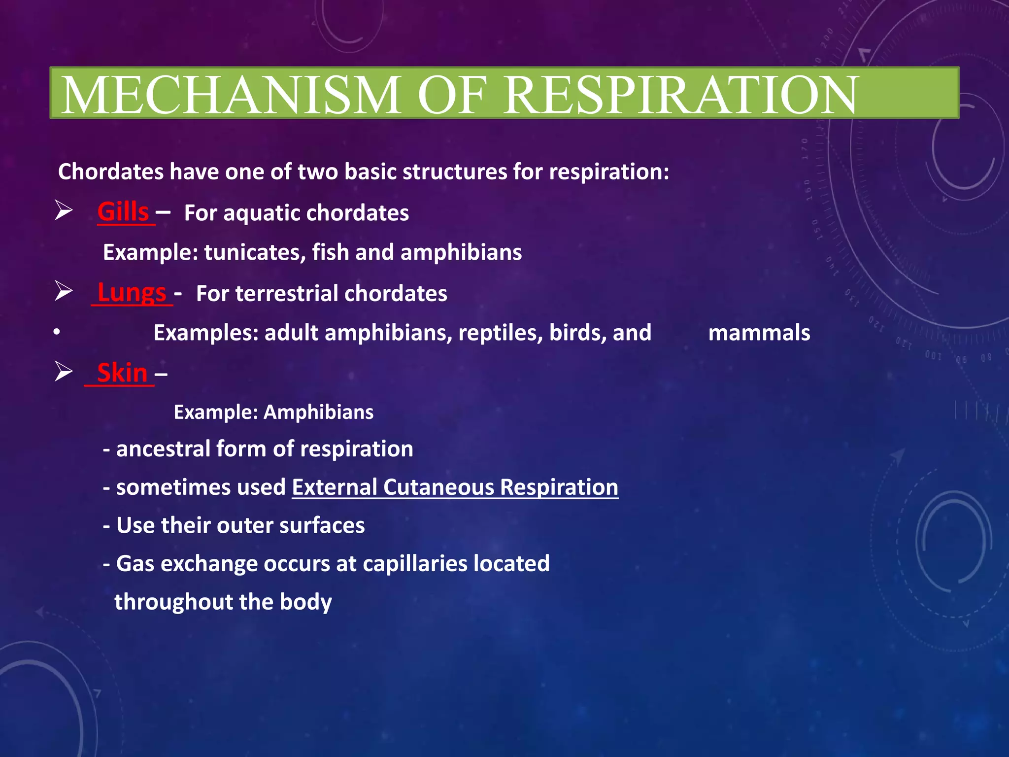 Presentation on Organ & Mechanism of Respiration in Pisces And ...