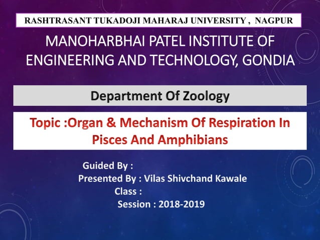 Presentation on Organ & Mechanism of Respiration in Pisces And ...
