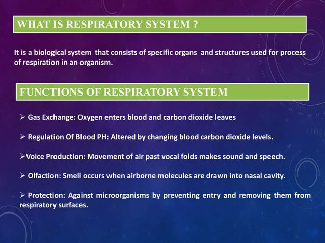 Presentation on Organ & Mechanism of Respiration in Pisces And ...