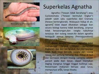 Pisces and Amphibian | PPT