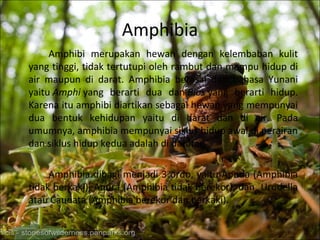 Pisces and Amphibian | PPT