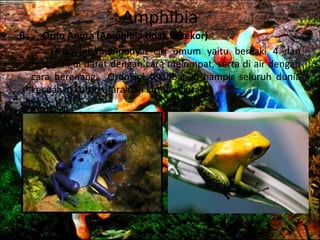 Pisces and Amphibian | PPT