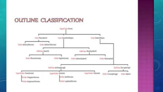 Pisces classication ppt | PPTX