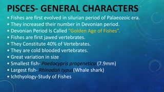 Pisces classication ppt | PPTX