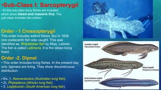 Pisces classication ppt | PPTX