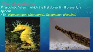 Pisces classication ppt | PPTX