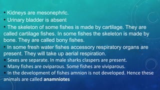 Pisces classication ppt | PPTX