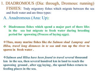 Locomotion in fishes has been classified into three types: Anguilliform ...