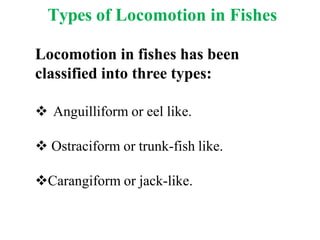 Locomotion in fishes has been classified into three types: Anguilliform ...