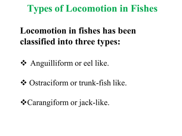 Locomotion in fishes has been classified into three types: Anguilliform ...