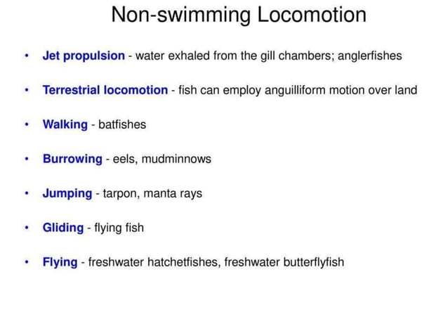 Locomotion in fishes has been classified into three types: Anguilliform ...