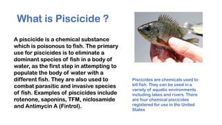 Piscicide | PPT