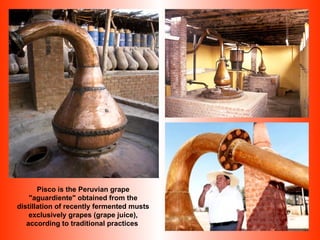 Pisco Is Perú | PPS
