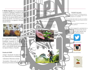 Pisolithus tinctorius.pdf