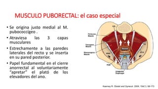 Piso pelvico.pptx