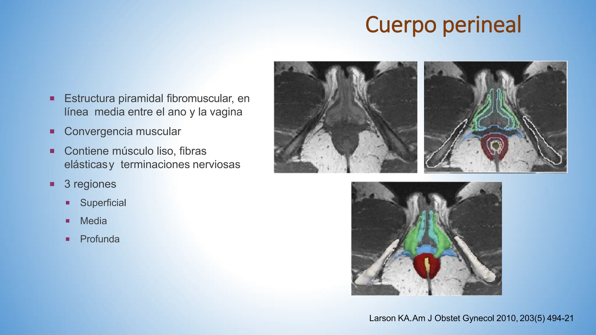 anatomia de piso pelvico femenino final.pptx