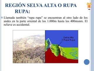 Pisos altitudinales. Primaria. IE La Ribera. Aula de Innovaciones ...