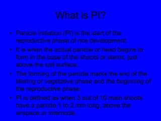 PI stage & adjustment, English.ppt