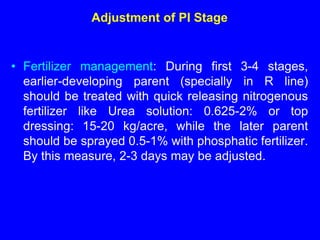 PI stage & adjustment, English.ppt
