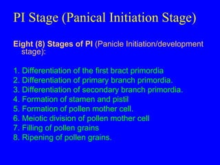 PI stage & adjustment, English.ppt