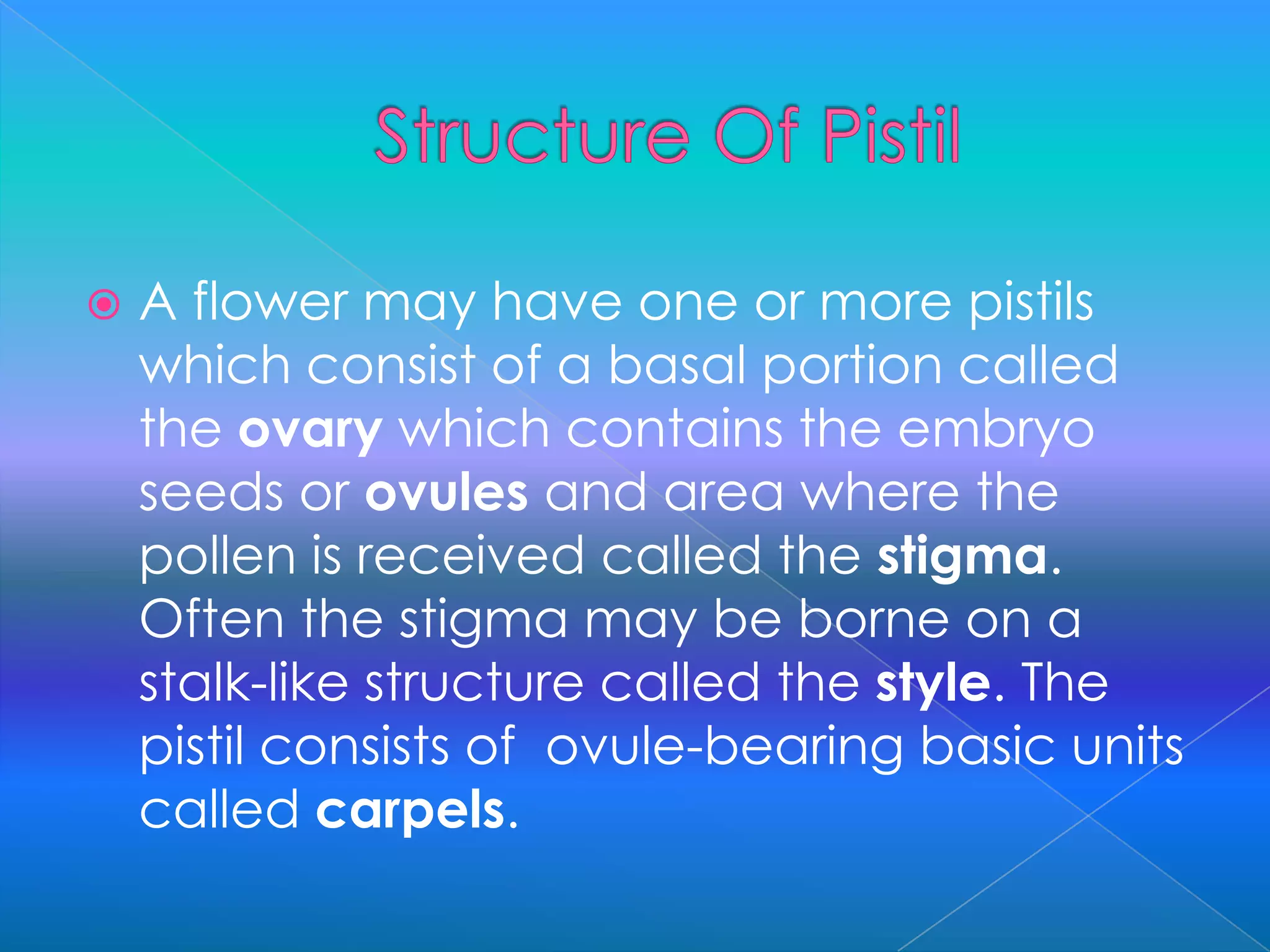 Pistil zainab 4 a | PPTX