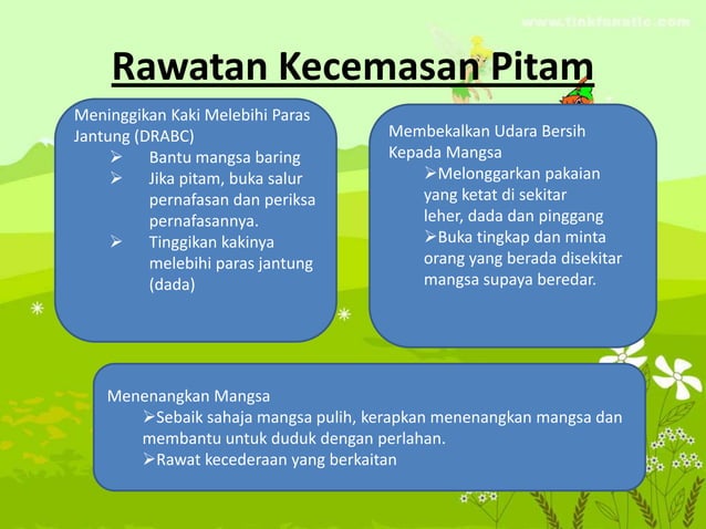 Pitam dan pengsan | PPTX