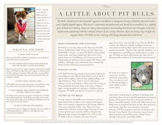 Pit Bull Brochure | PDF