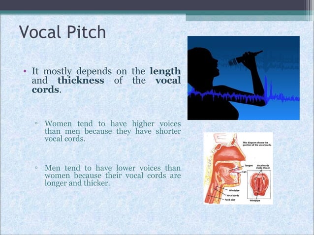 Pitch | PPT