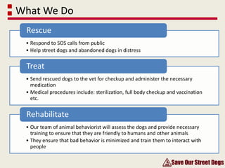 Save Our Street Dog (SOSD) - Singapore Dog Rescue Organization ...