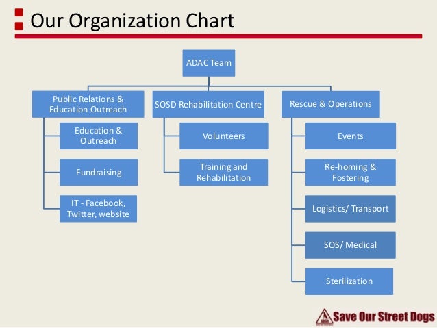 Save Our Street Dog (SOSD) - Singapore Dog Rescue Organization Fundra…