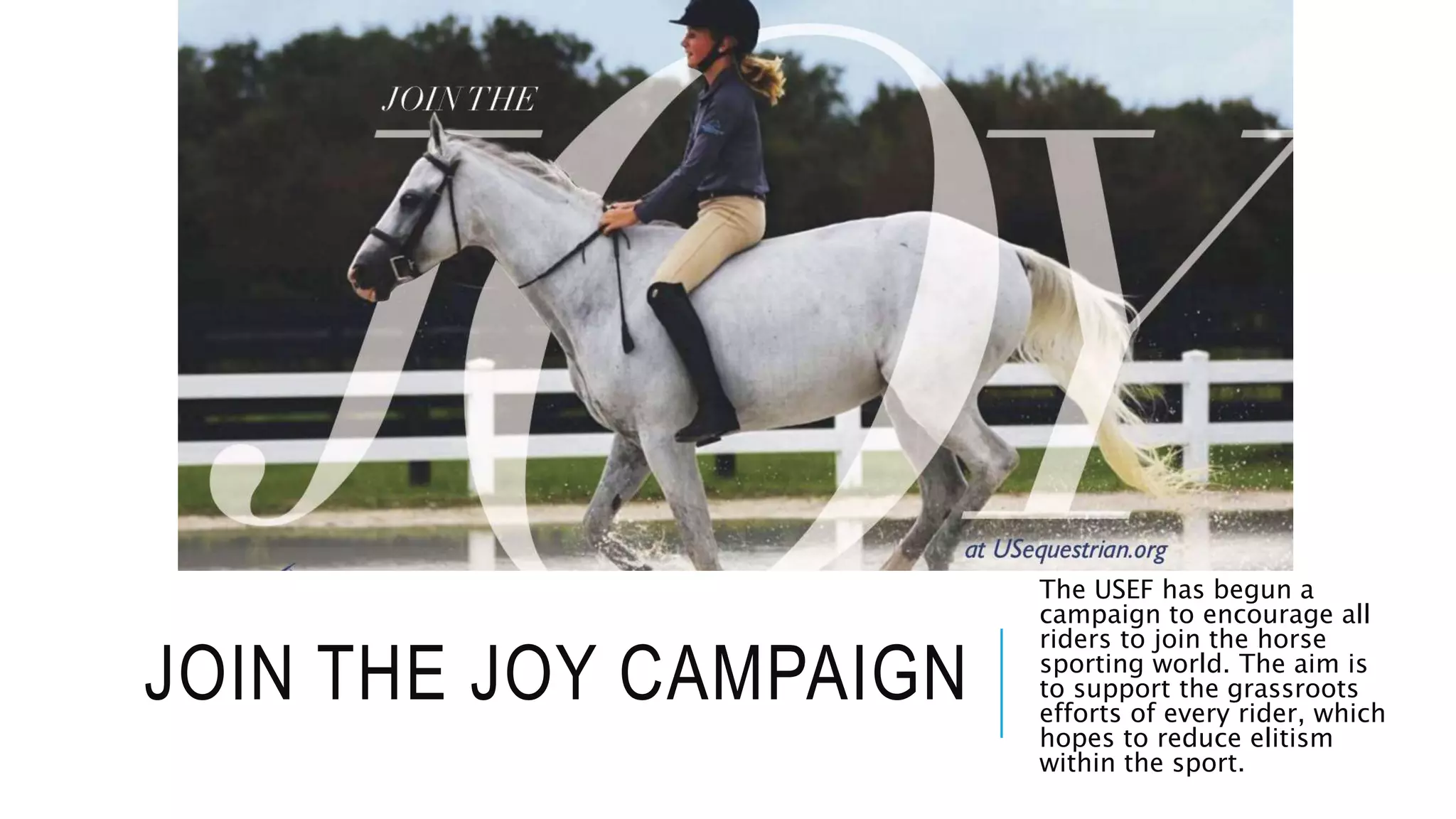 Full Circle Stables & eqestrian estate | PPT